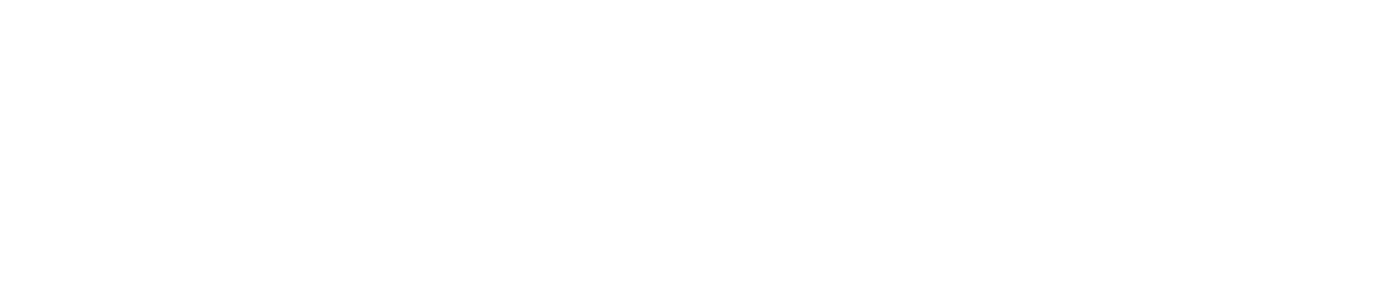 Nosotros — Fast Check 🔍