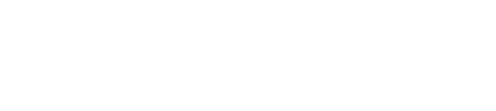 Nosotros — Fast Check 🔍