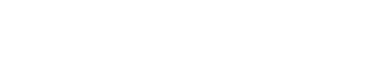 Nosotros — Fast Check 🔍