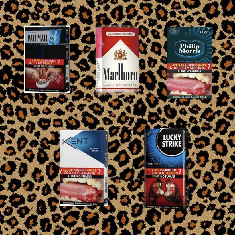 Marcas de cigarrillos que se distribuyen en Chile han testeado en ...