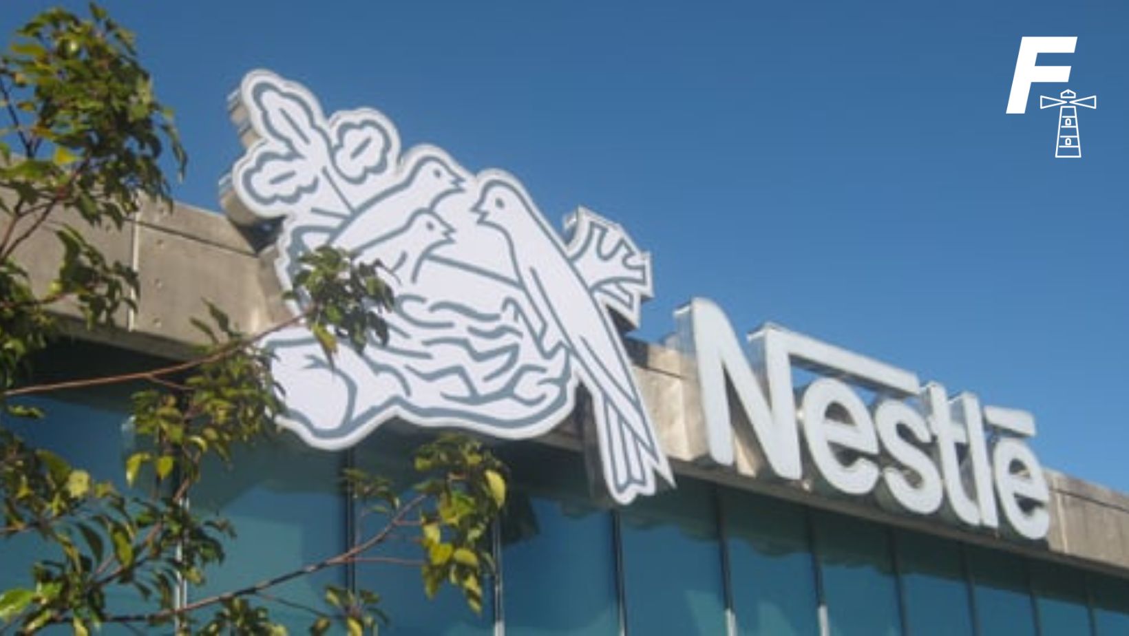 Nestlé enfrenta demanda en Chile: acusan a la empresa de manipular ...