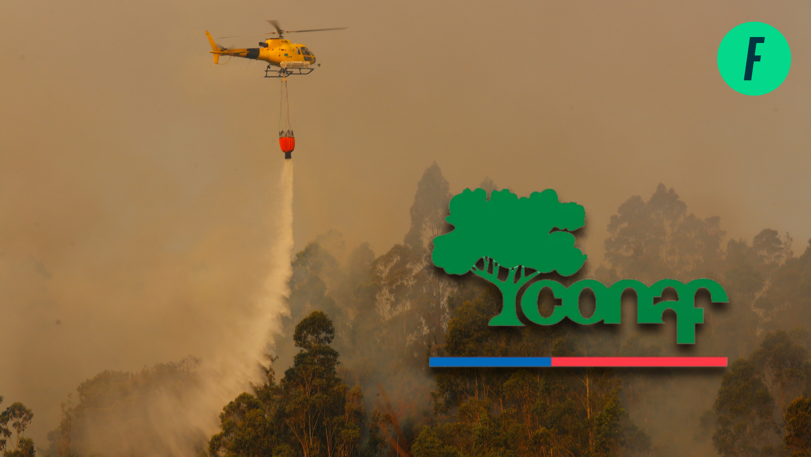 Suprema ratifica multa contra empresas que formaron “cartel del fuego ...